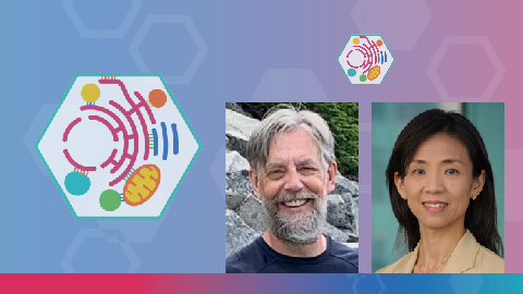 ‘The potential of LPC-DHA as a dietary supplement is exciting’